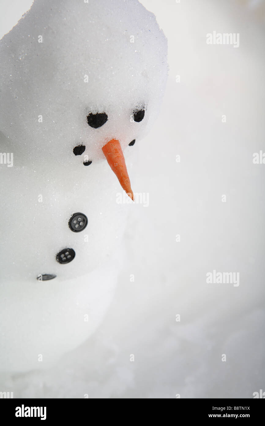 Global snowman hi-res stock photography and images - Alamy