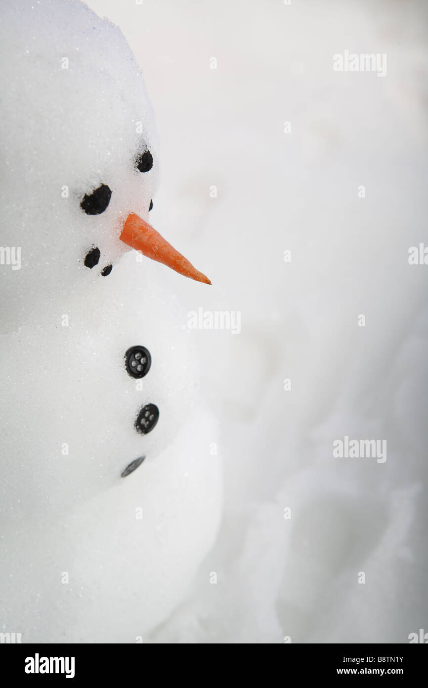 Snowman carrot hi-res stock photography and images - Alamy