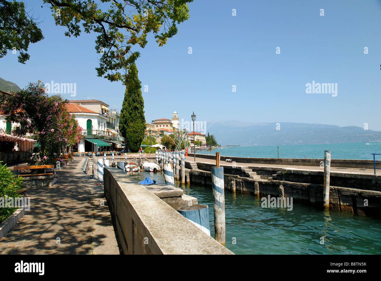 Limone bougainvillea hi-res stock photography and images - Alamy