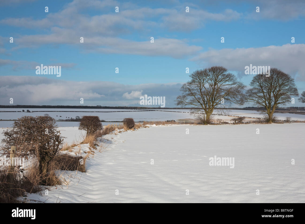 Wetwang east yorkshire hi-res stock photography and images - Alamy
