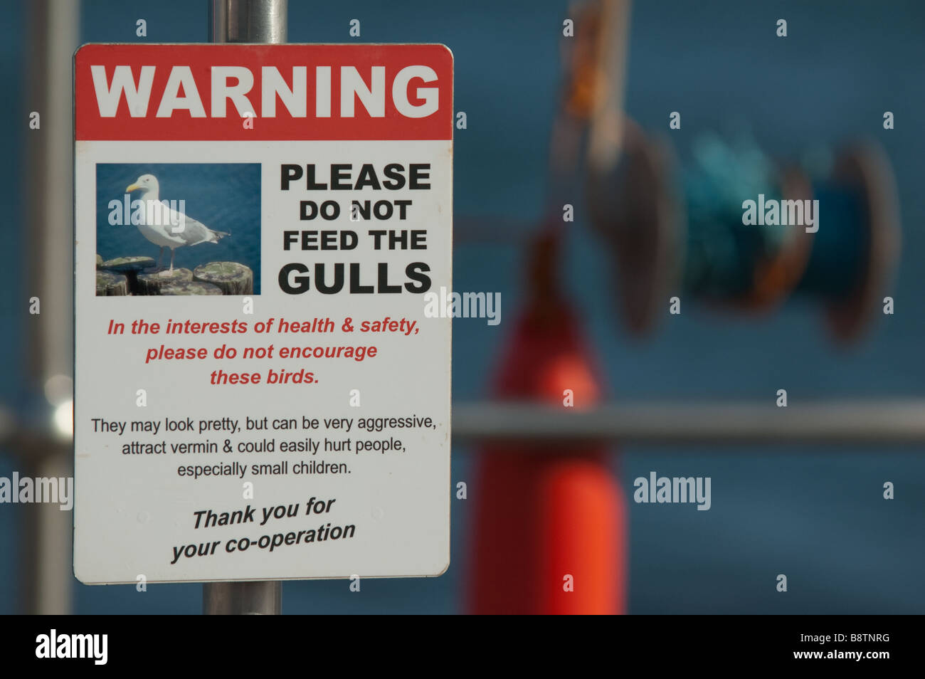 Gull attack - Warning notice from seaside resort about gulls Stock ...