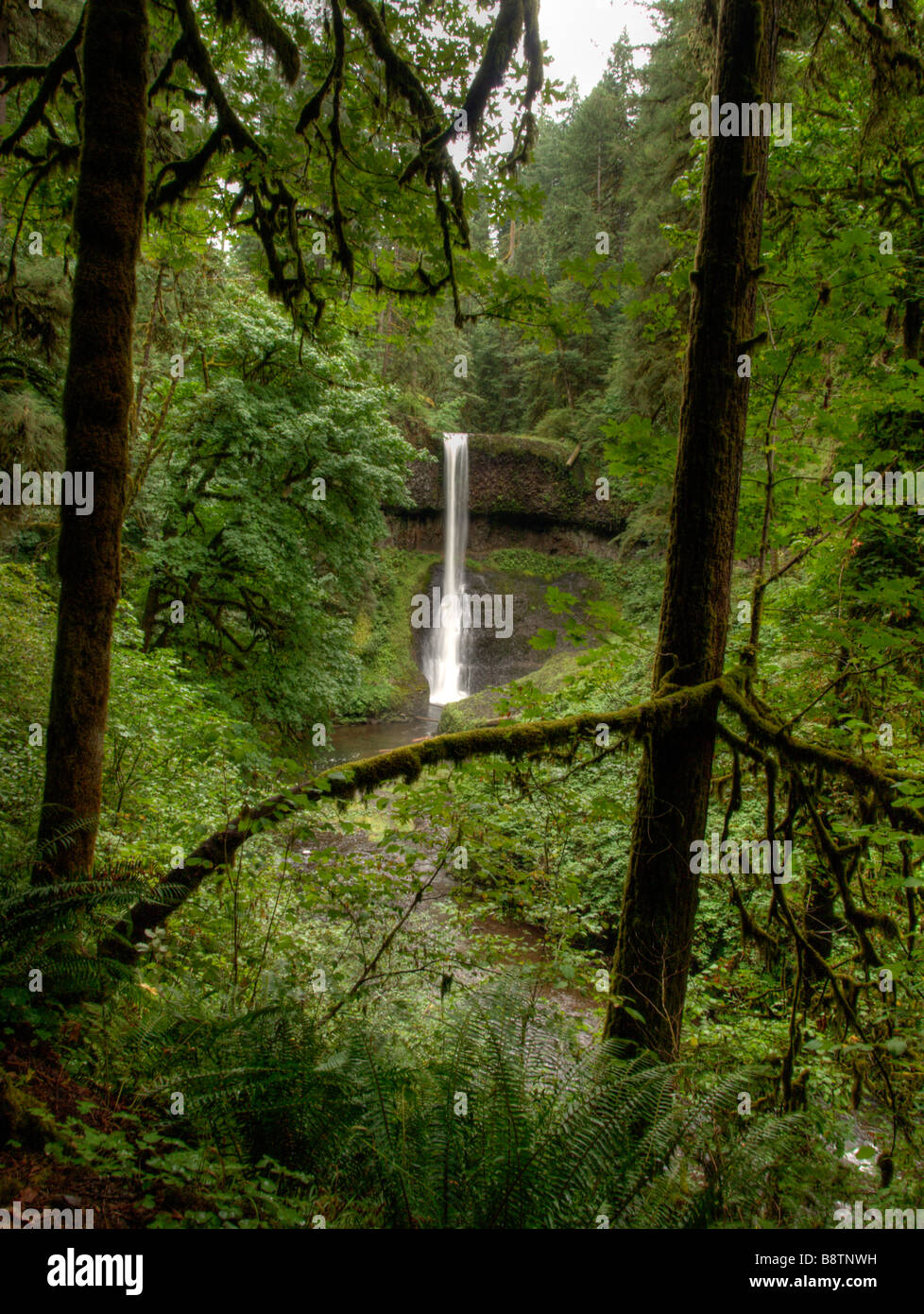 Middle North Falls at Silver Creek Falls State Park Stock Photo - Alamy