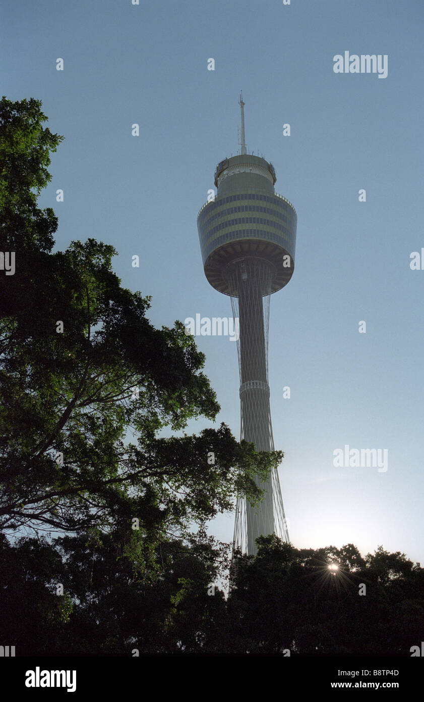 Sydney Tower Sydney Australia Stock Photo - Alamy