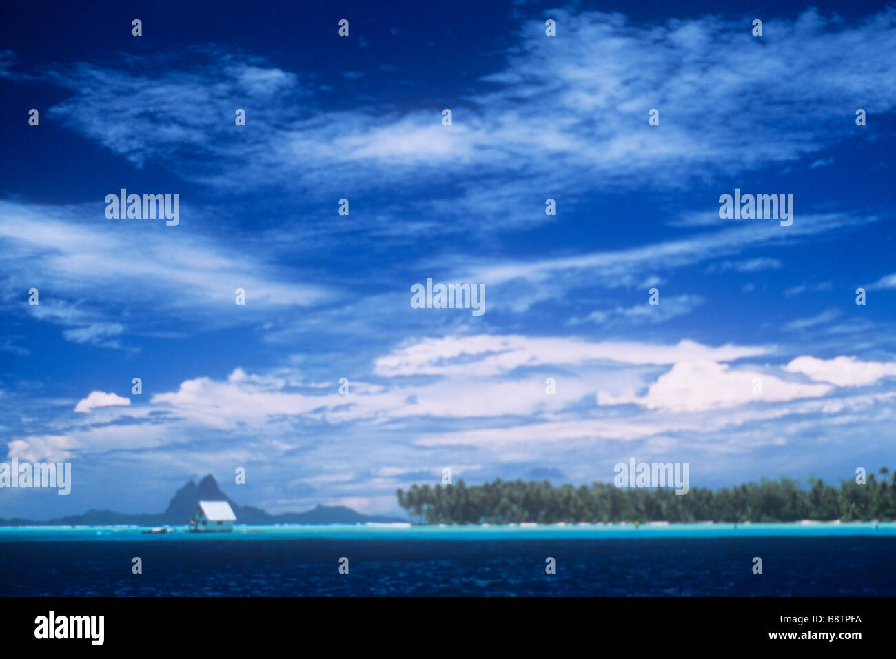 Cultivation of black pearls in the lagoon off Taha`a island in the ...