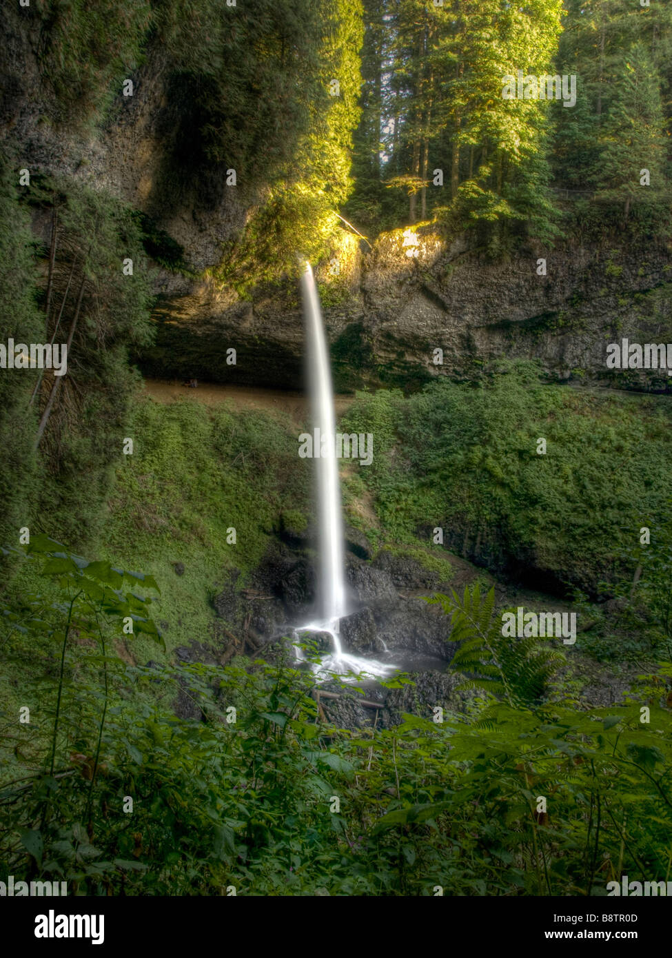 North Falls at Silver Creek Falls State Park Stock Photo - Alamy