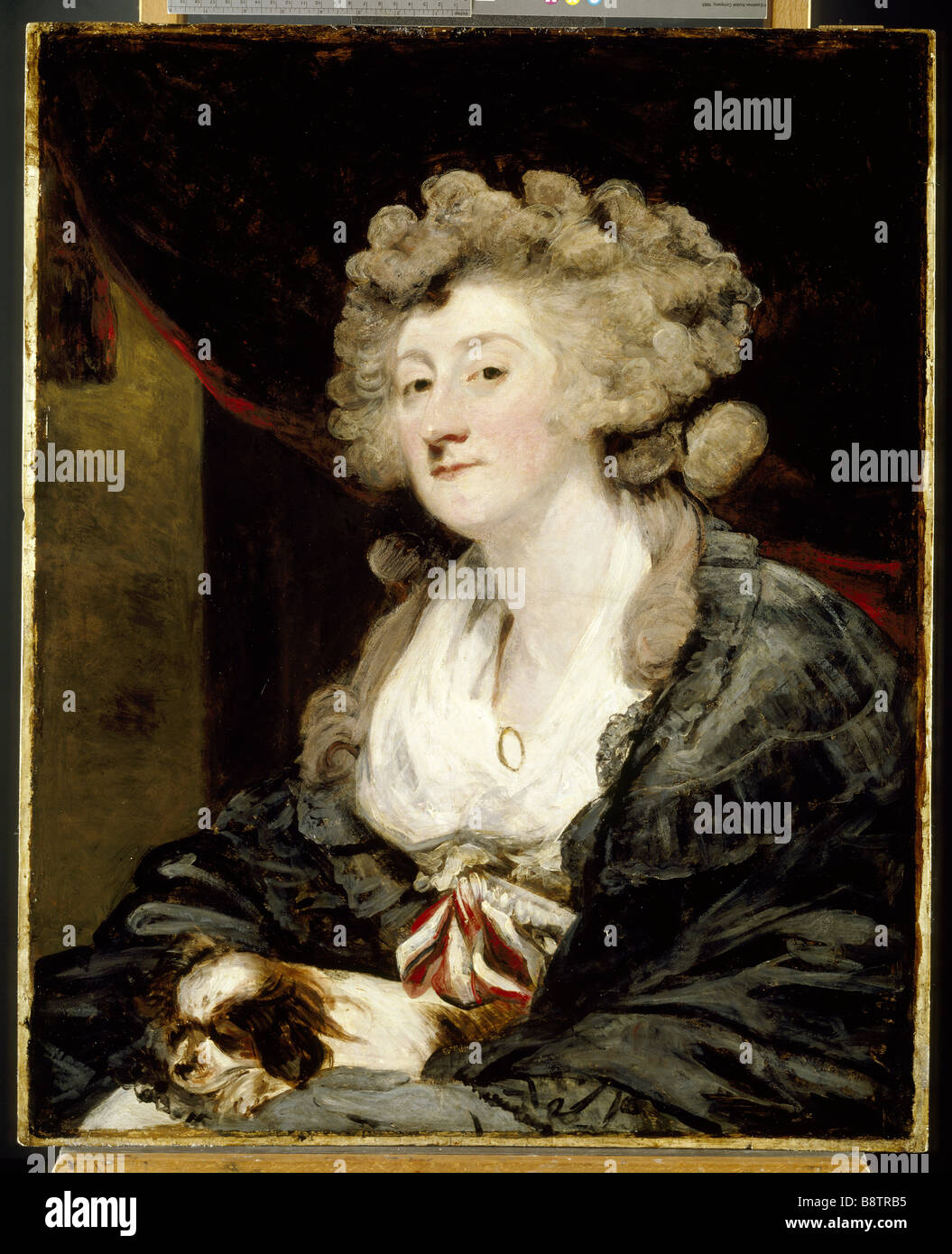 Belton house dog hi-res stock photography and images - Alamy