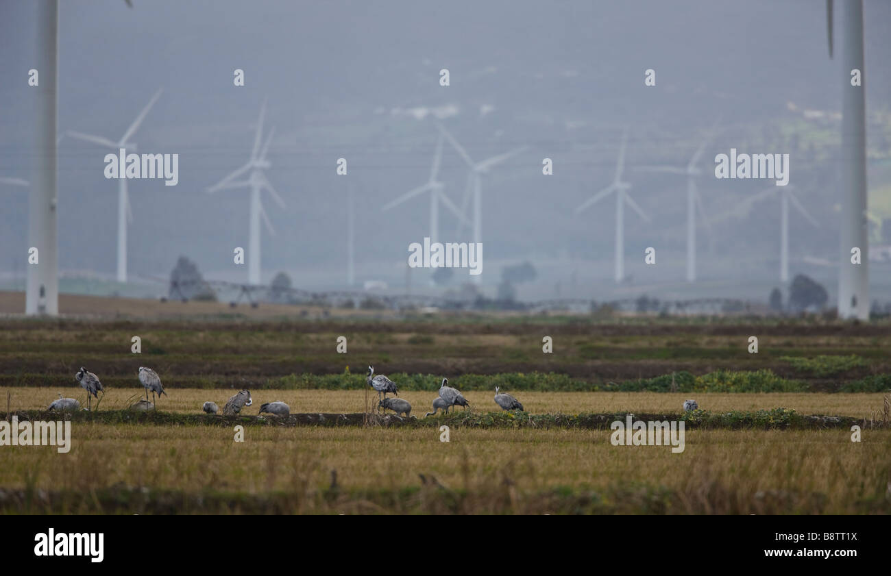 Gibraltar wind turbines hi-res stock photography and images - Alamy