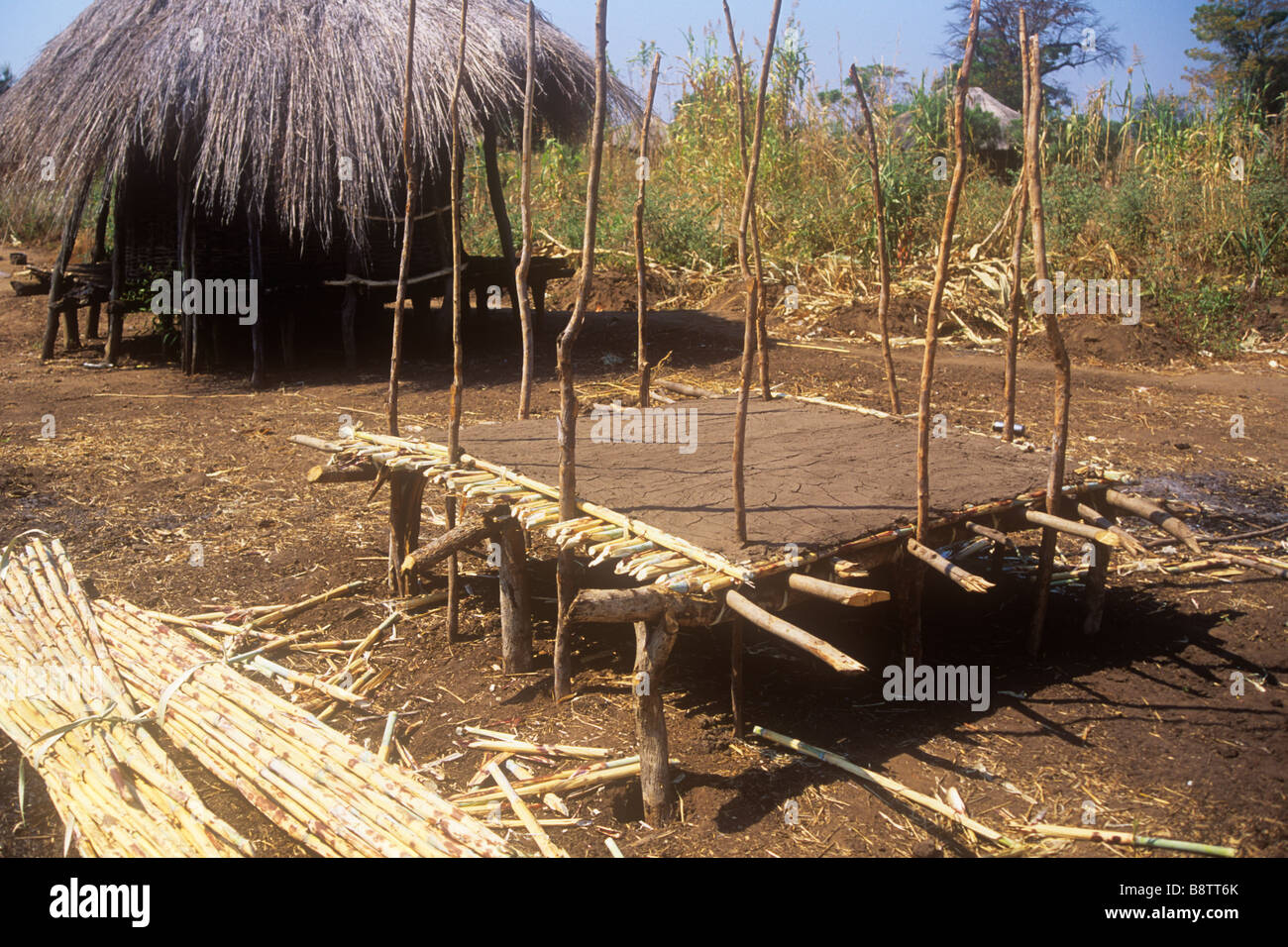 Construction of a rural house using natural materials in Zambia Africa ...