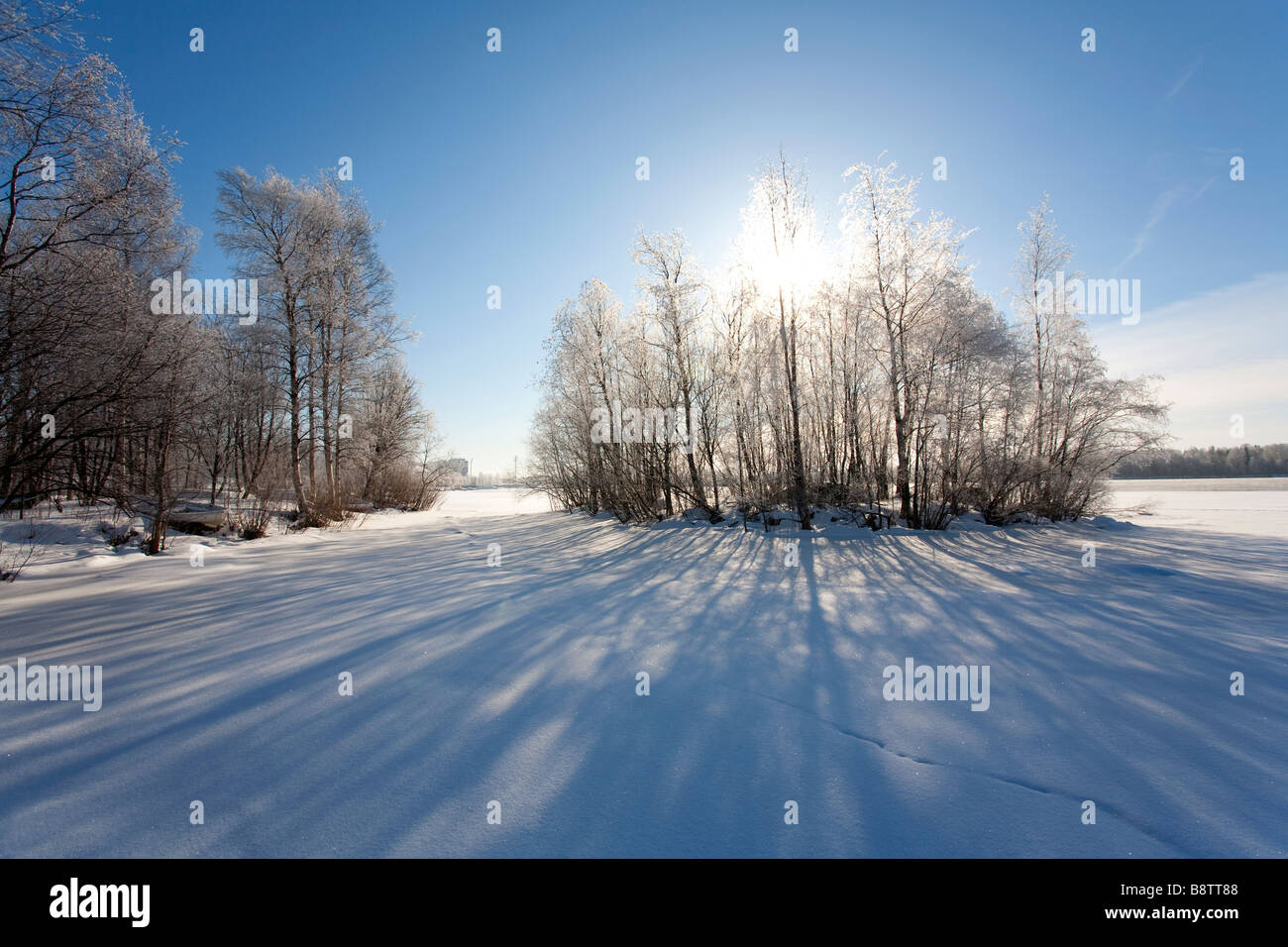 Tree shadows on snow , Finland Stock Photo - Alamy