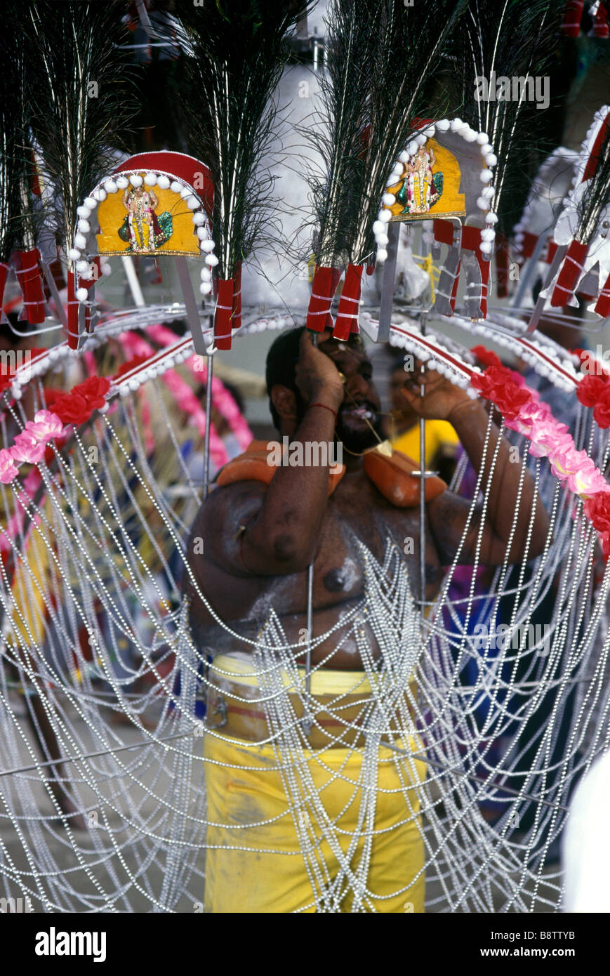 Hindu Indian Devotees wearing kavadis celebrate the birthday of Murugan ...