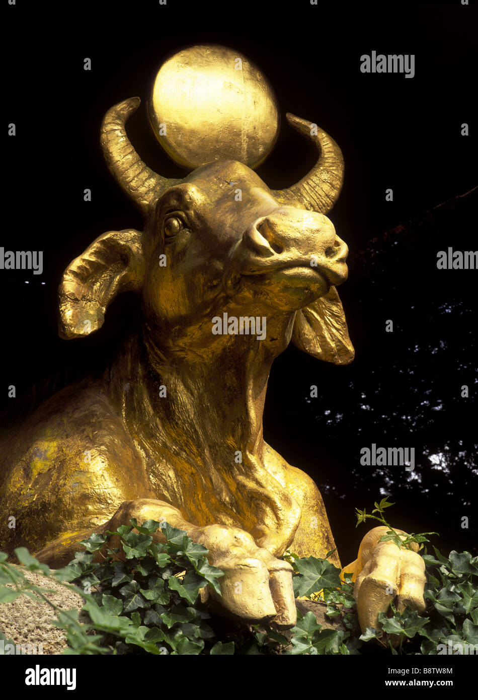 A close up shot of The Golden Buffalo in China the Victorian garden at ...
