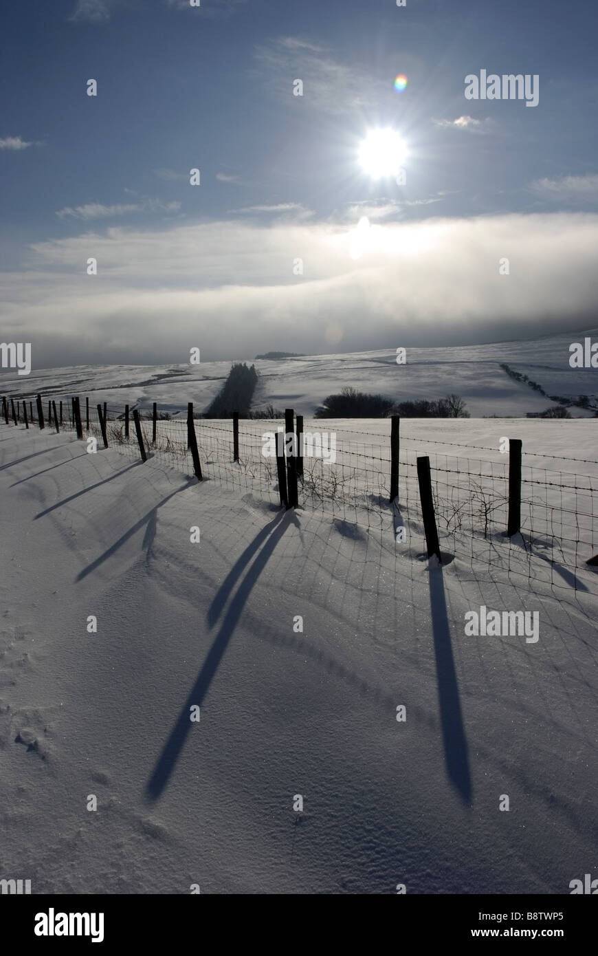 Fence posts silhouetted in the winter sun Stock Photo - Alamy