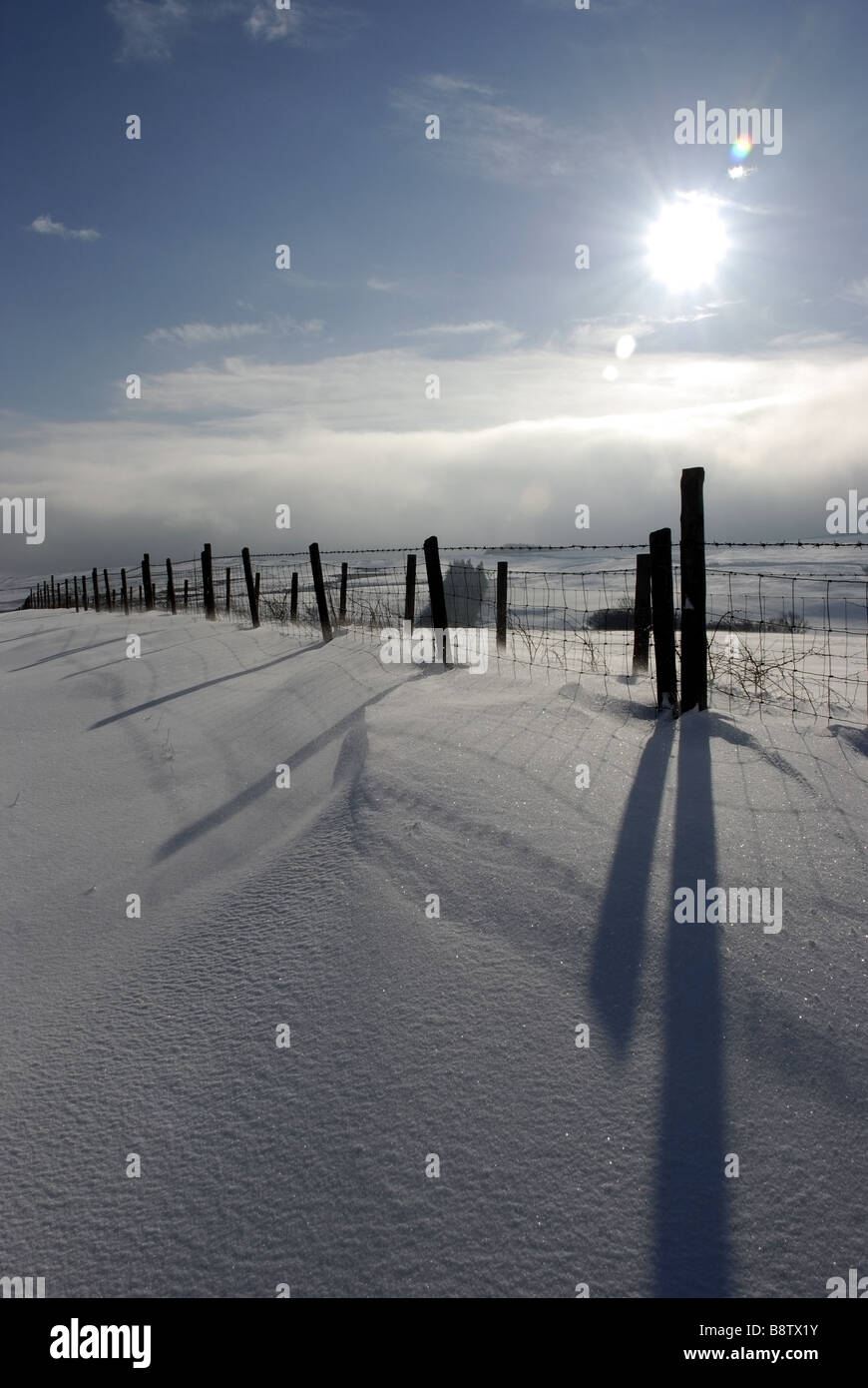 Fence posts silhouetted in the winter sun Stock Photo - Alamy