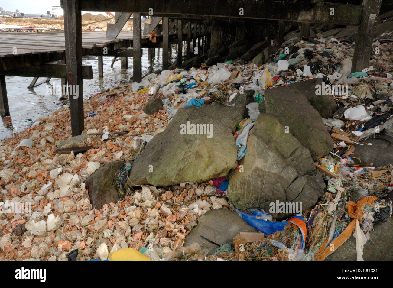 Litter and discarded shells under jetty Semporna Sabah Malaysia Borneo ...