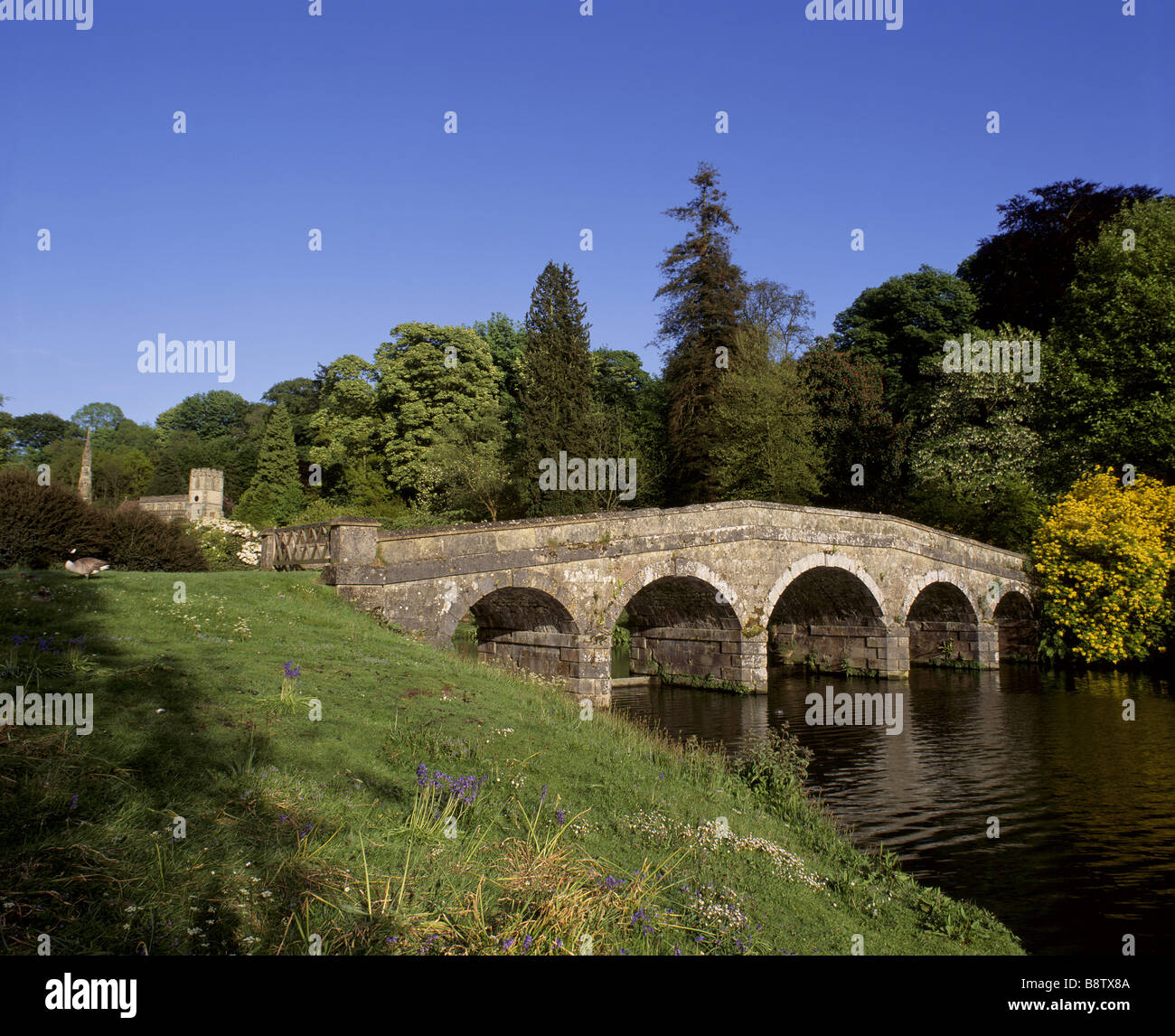 The Palladian Bridge at Stourhead in evening light with the church ...