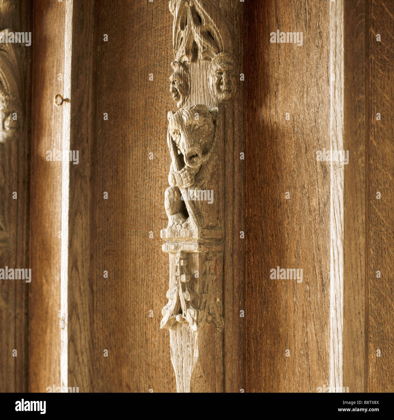 Bear court hi-res stock photography and images - Alamy