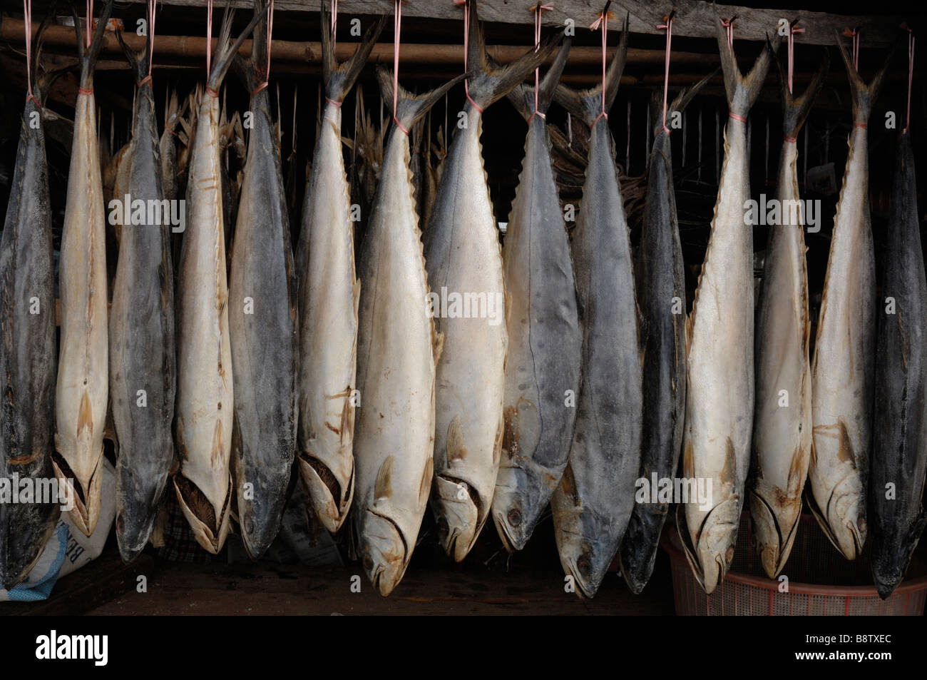 Dried tuna hanging up in market stall dried fish market Semporna Sabah ...