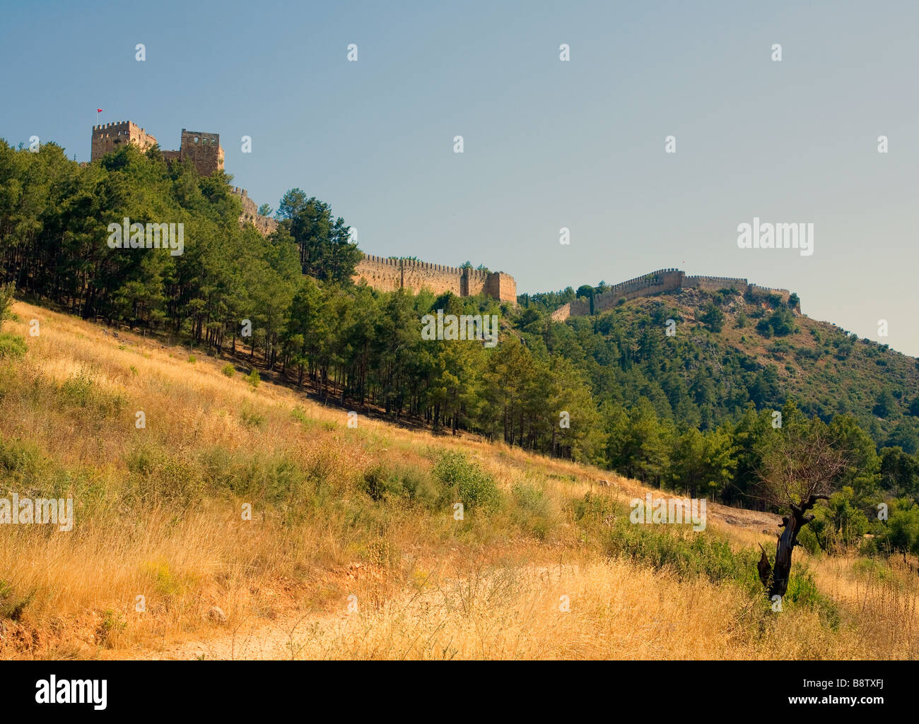 Arabian castle icon hi-res stock photography and images - Alamy
