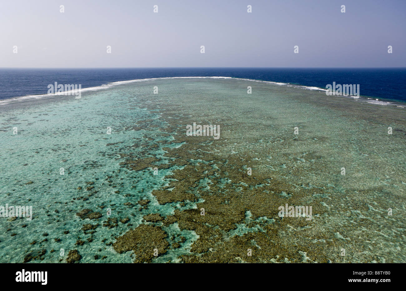 Dive spot Daedalus Reef Red Sea Egypt coral reef Stock Photo - Alamy