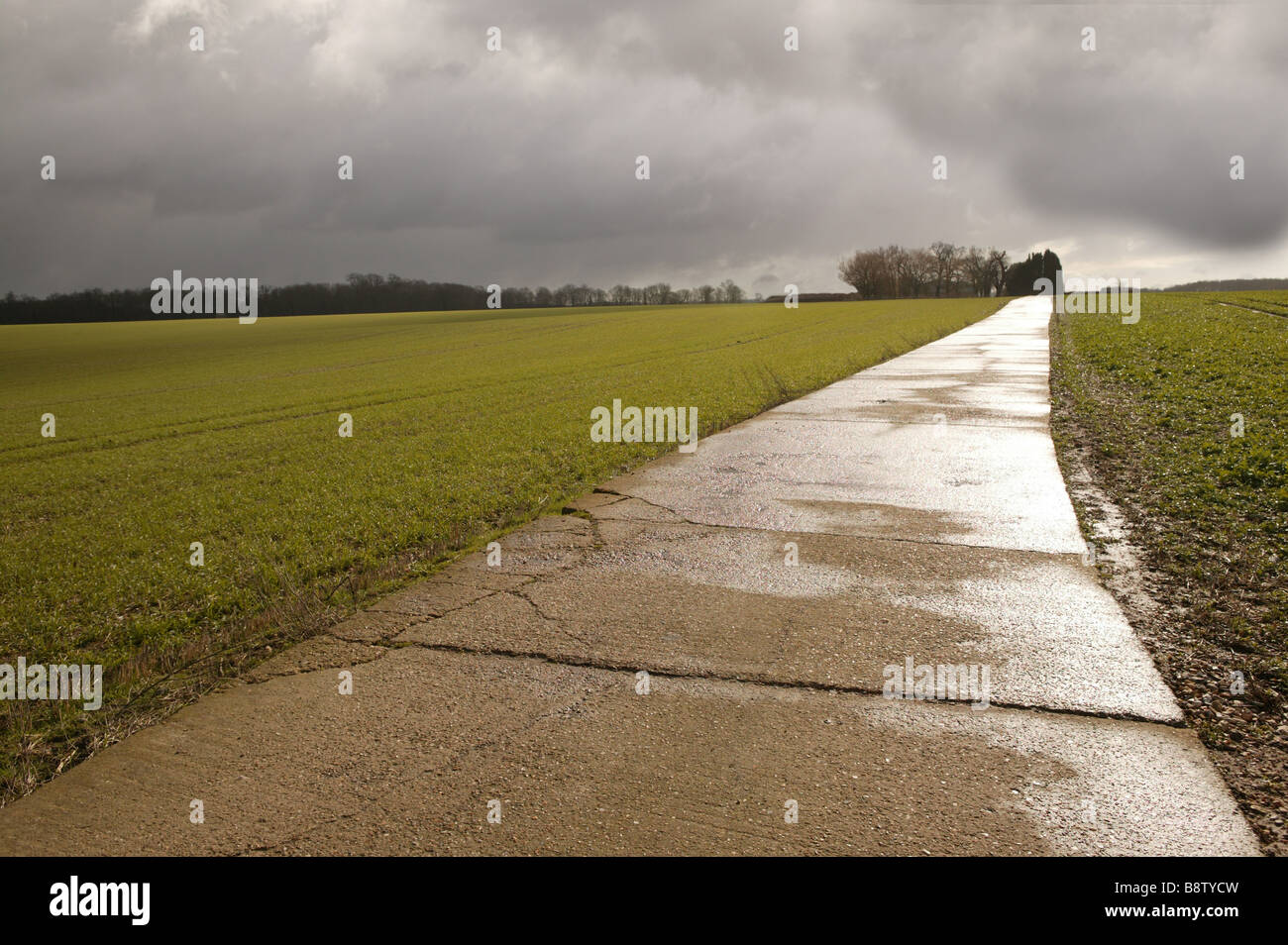Concrete road or drive in landscape horizontal format leading through ...