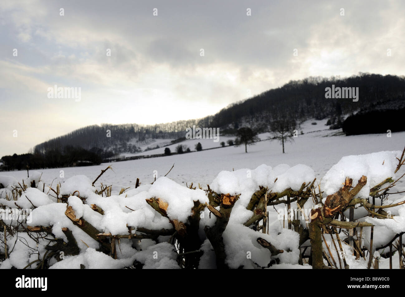 Snow covered field in Teme Valley, Worcestershire Stock Photo - Alamy