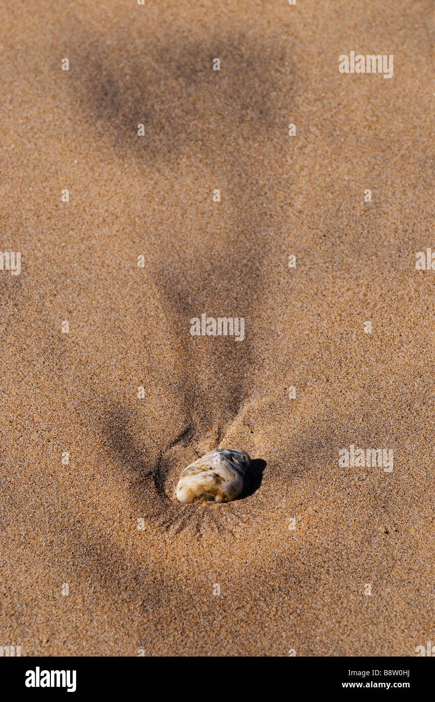 A pebble on Gwithian Towans Beach in Cornwall Stock Photo - Alamy