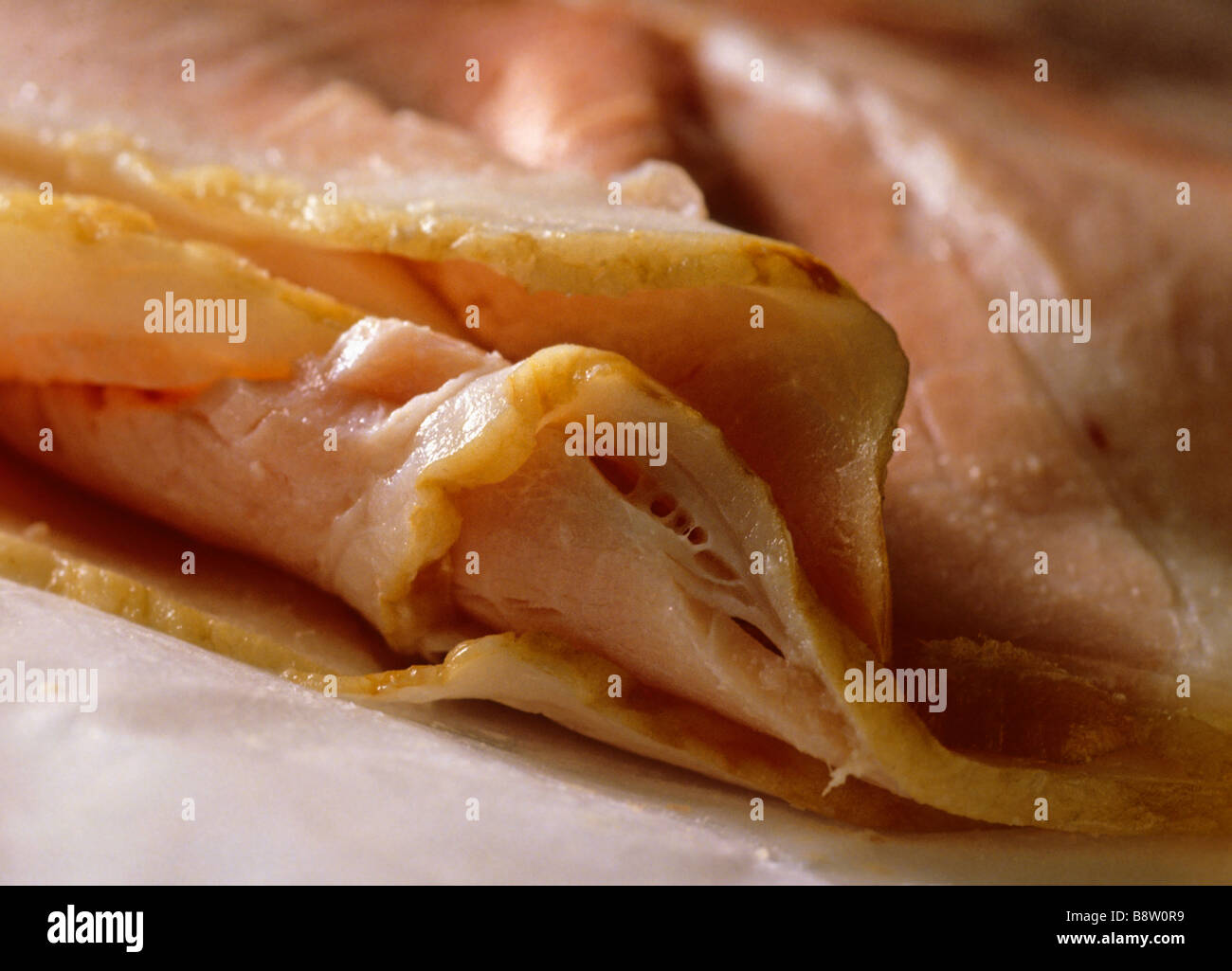 Fat on meat Stock Photo - Alamy