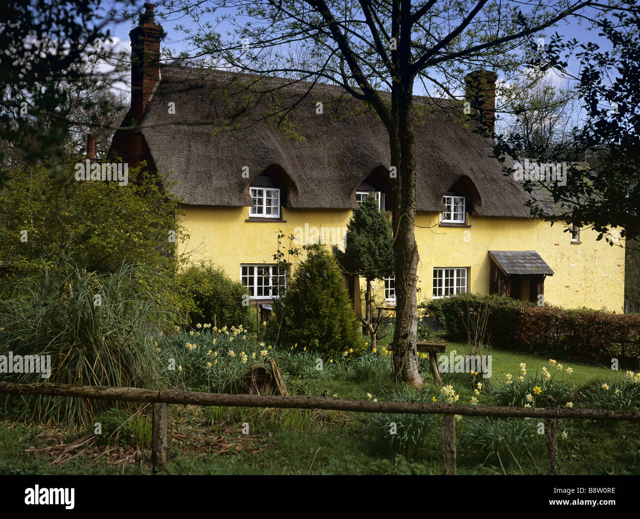 Killerton spring hi-res stock photography and images - Alamy