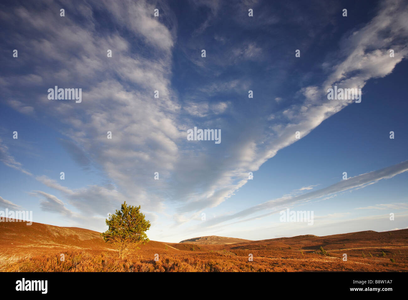 Cirrus cloud formation above moorland Stock Photo - Alamy