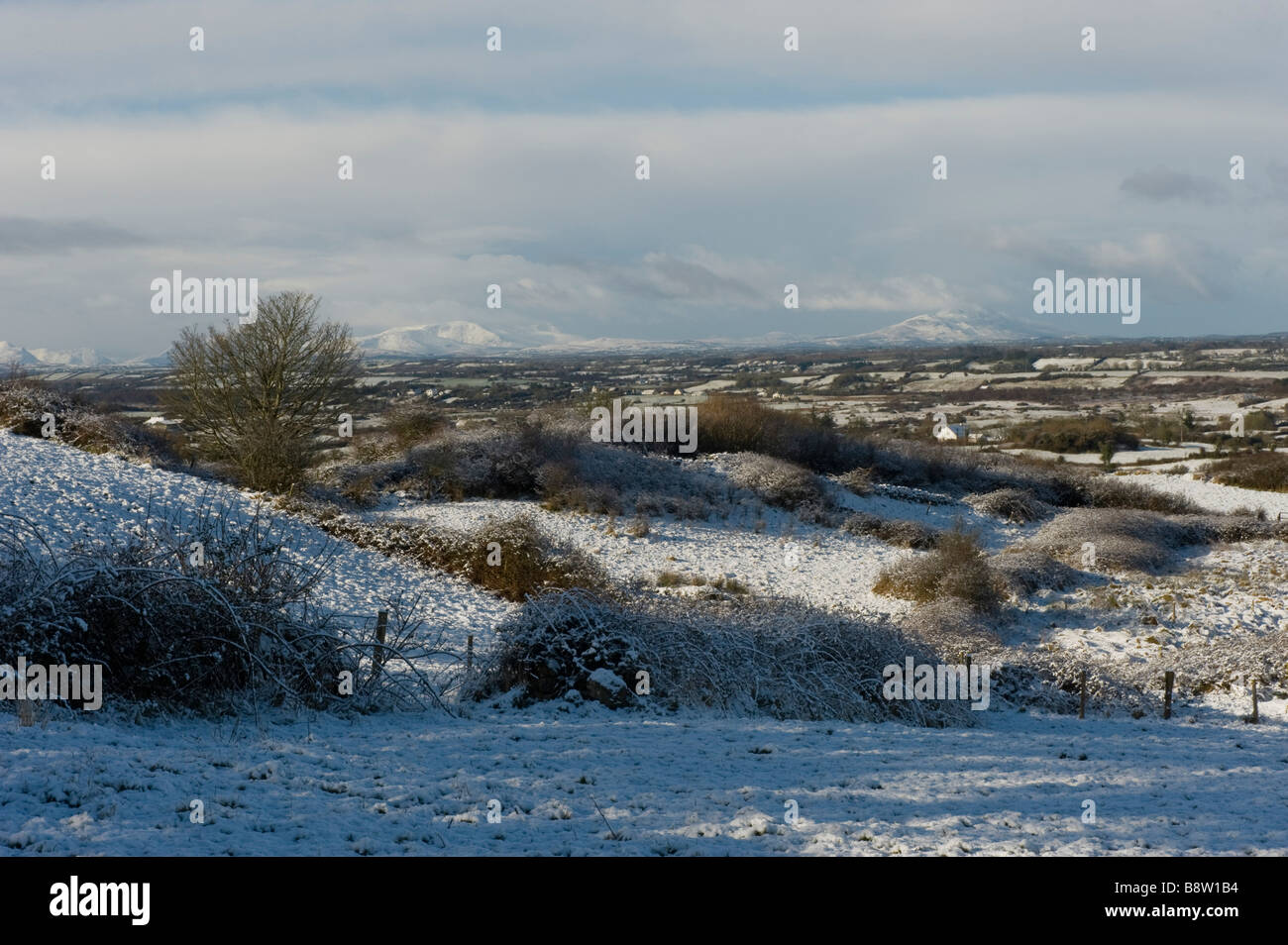 Snow covered fields in the west of Ireland Stock Photo - Alamy