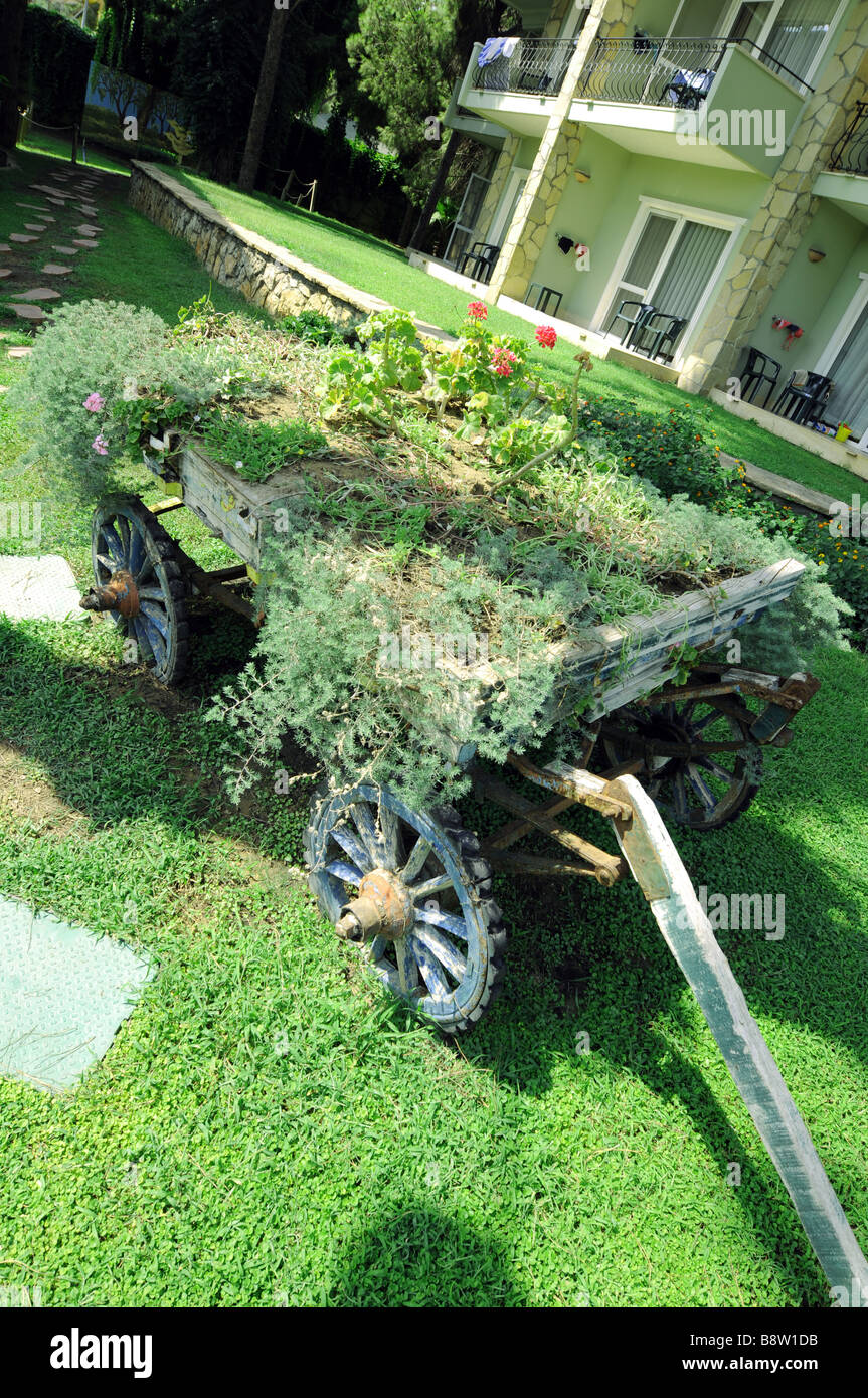 Backyard flower Cut Out Stock Images & Pictures - Alamy