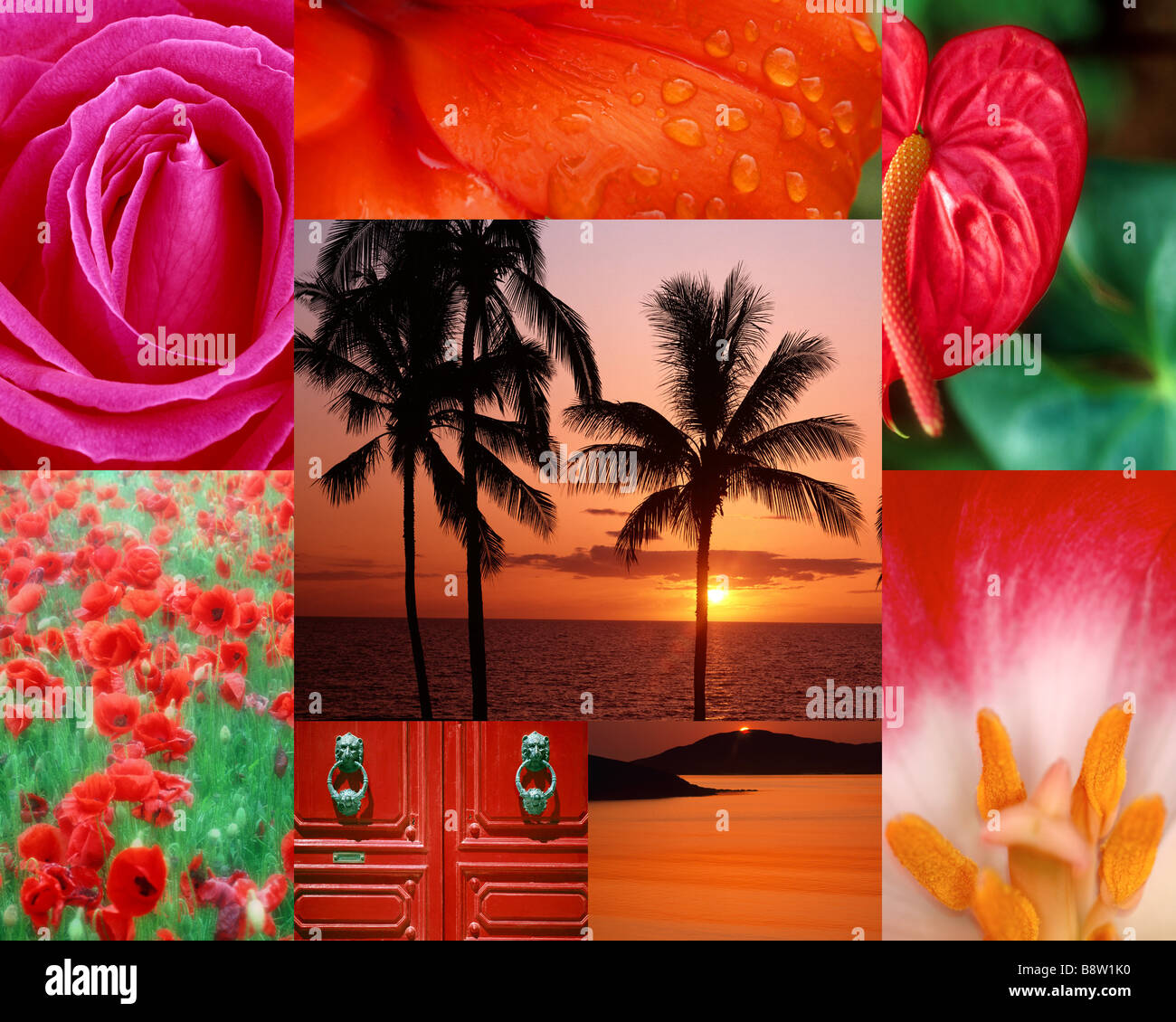 PHOTO ART: The Colour Red (Composite Stock Photo - Alamy