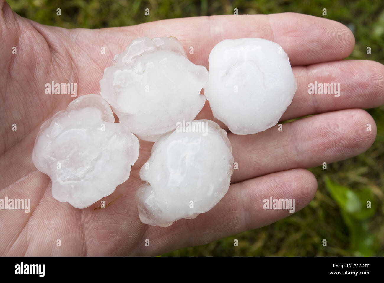 Big hailstones on hand germany hi-res stock photography and images - Alamy