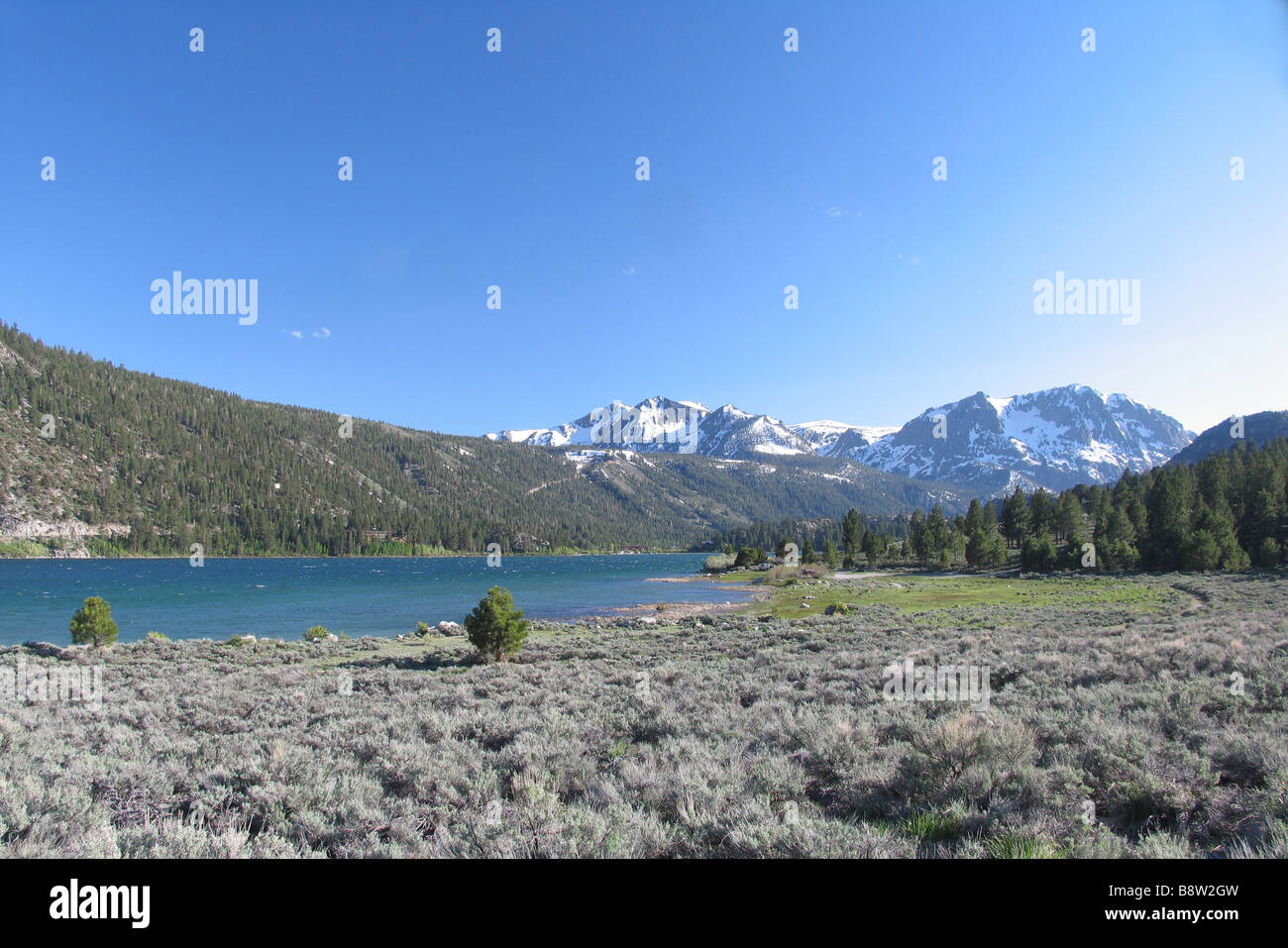 June Lake, Inyo National Forest, California, USA Stock Photo - Alamy