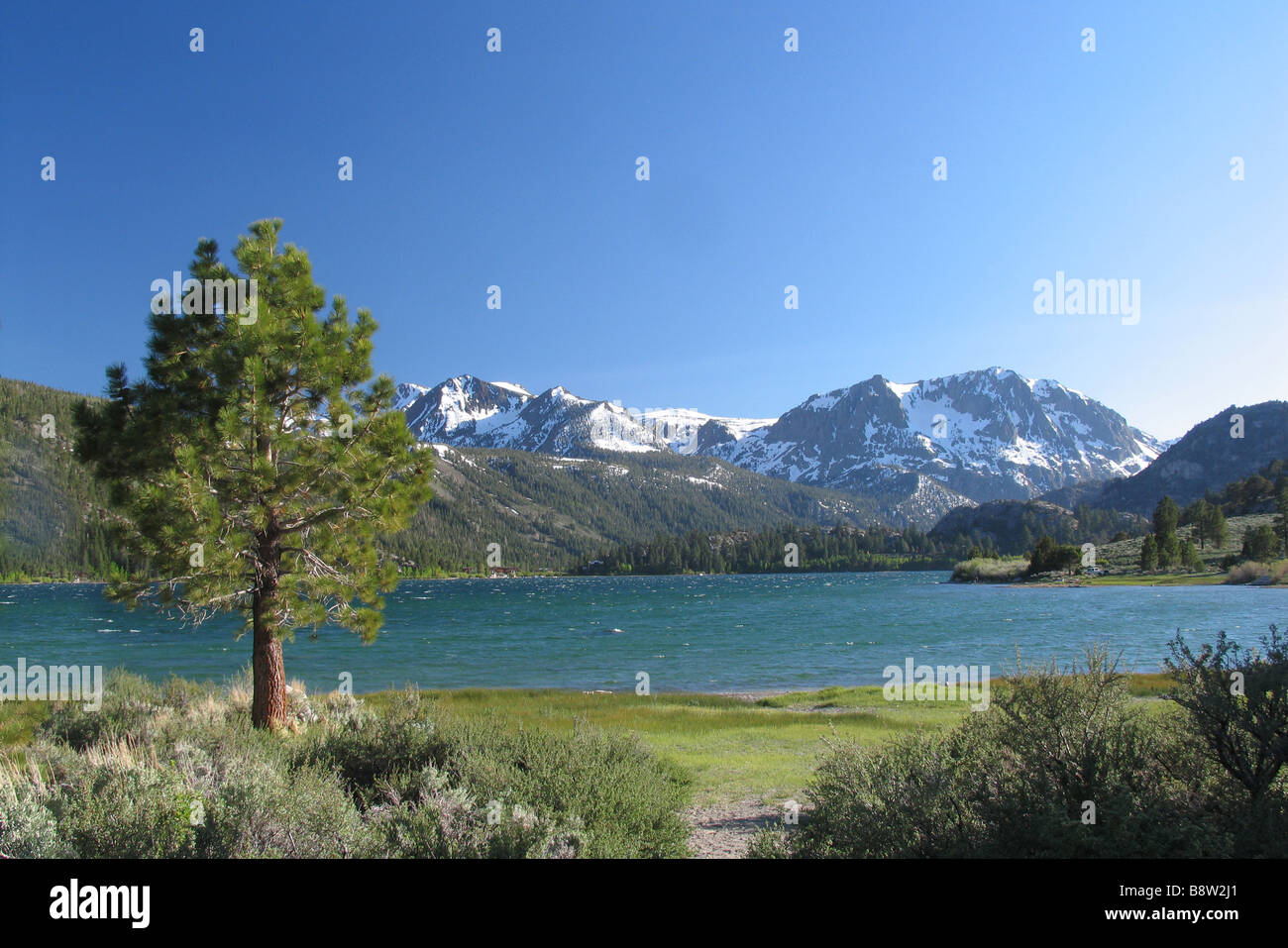 June Lake, Inyo National Forest, California, USA Stock Photo - Alamy