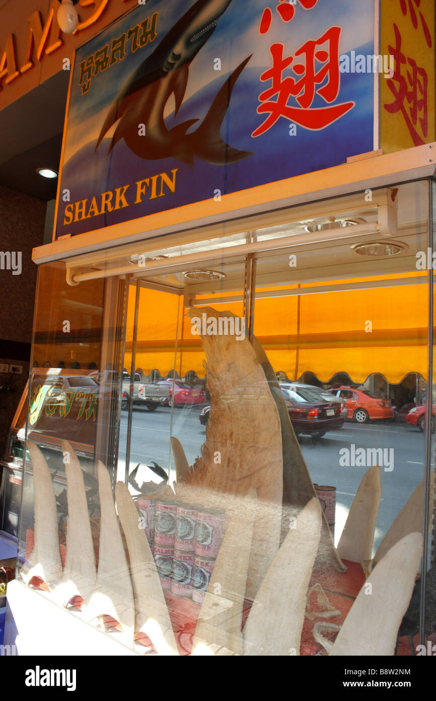 Shark fin restaurant at Yaowarat road , Bangkok 's Chinatown , Thailand ...