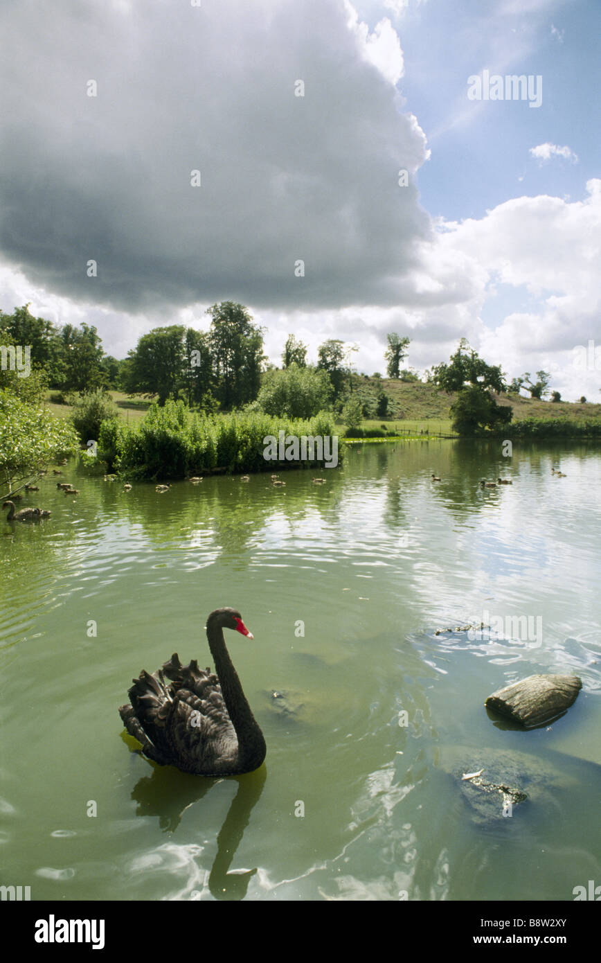 Politics garden pond hi-res stock photography and images - Alamy