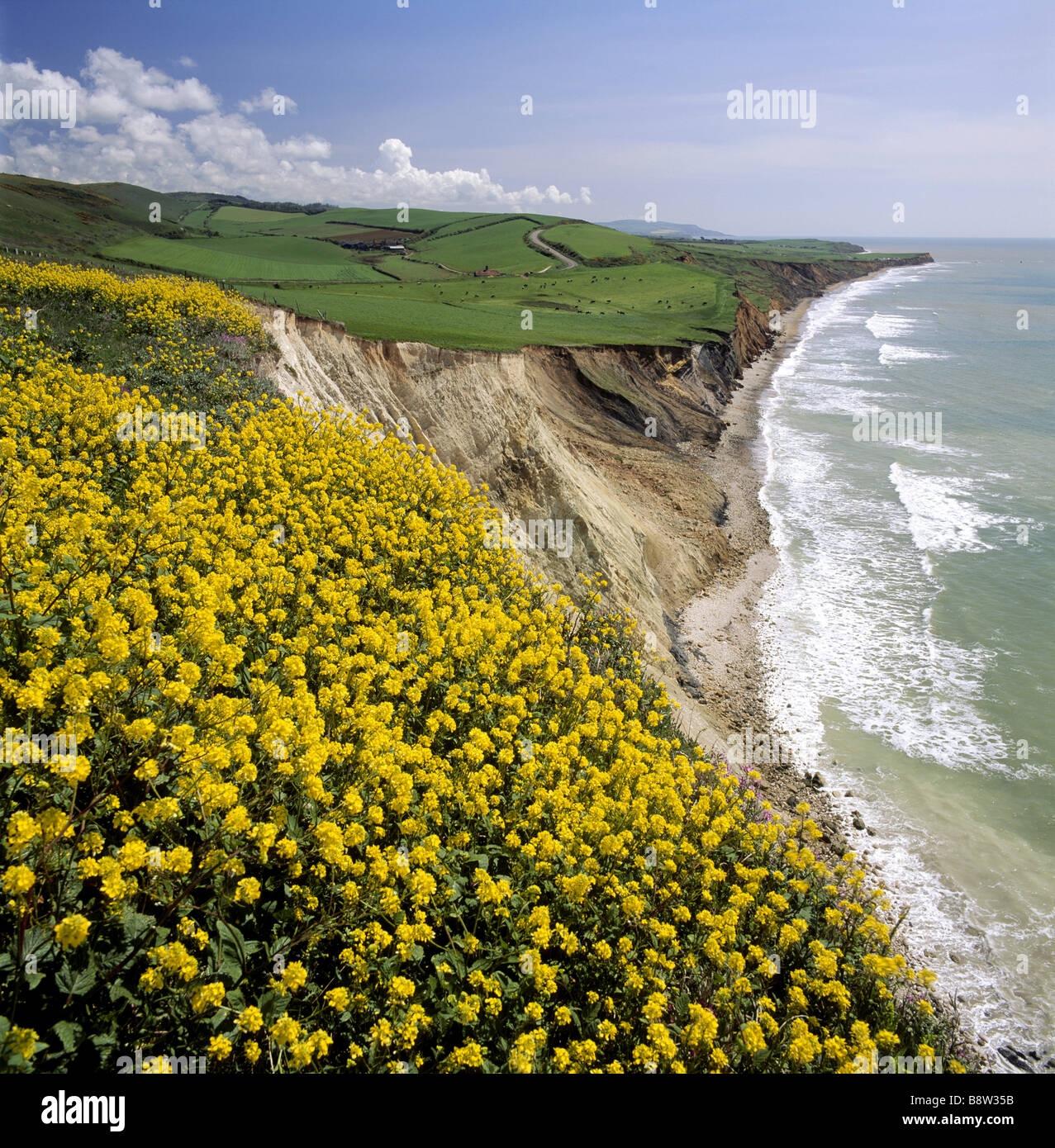 West wight hi-res stock photography and images - Alamy