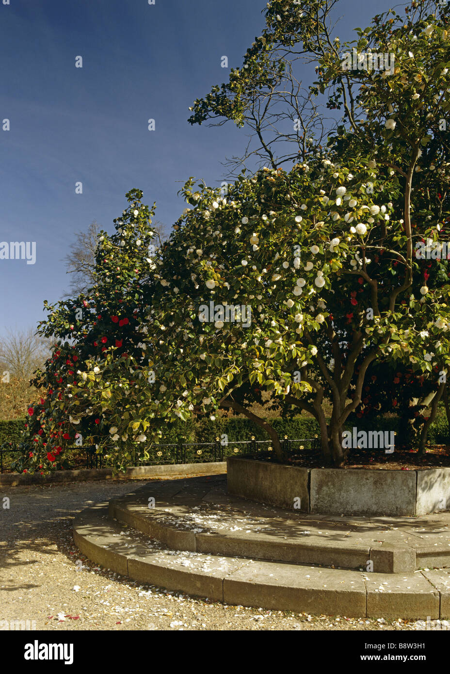 Claremont Landscape Garden Stock Photo - Alamy