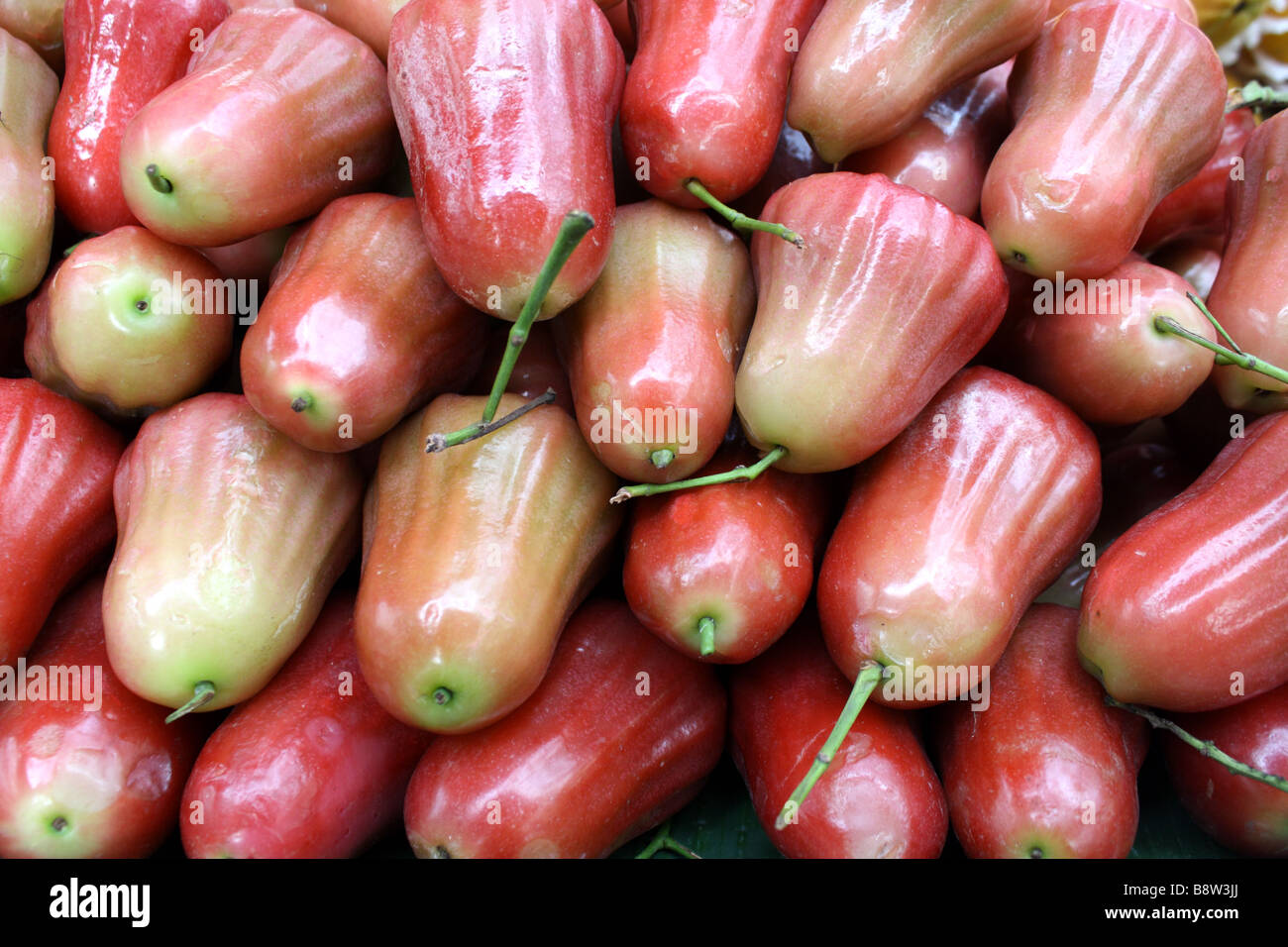 Rose apple fruit hi-res stock photography and images - Alamy