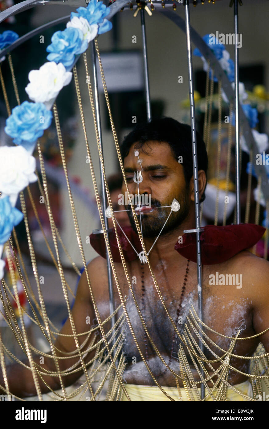 Hindu Indian Devotees wearing kavadis celebrate the birthday of Murugan ...