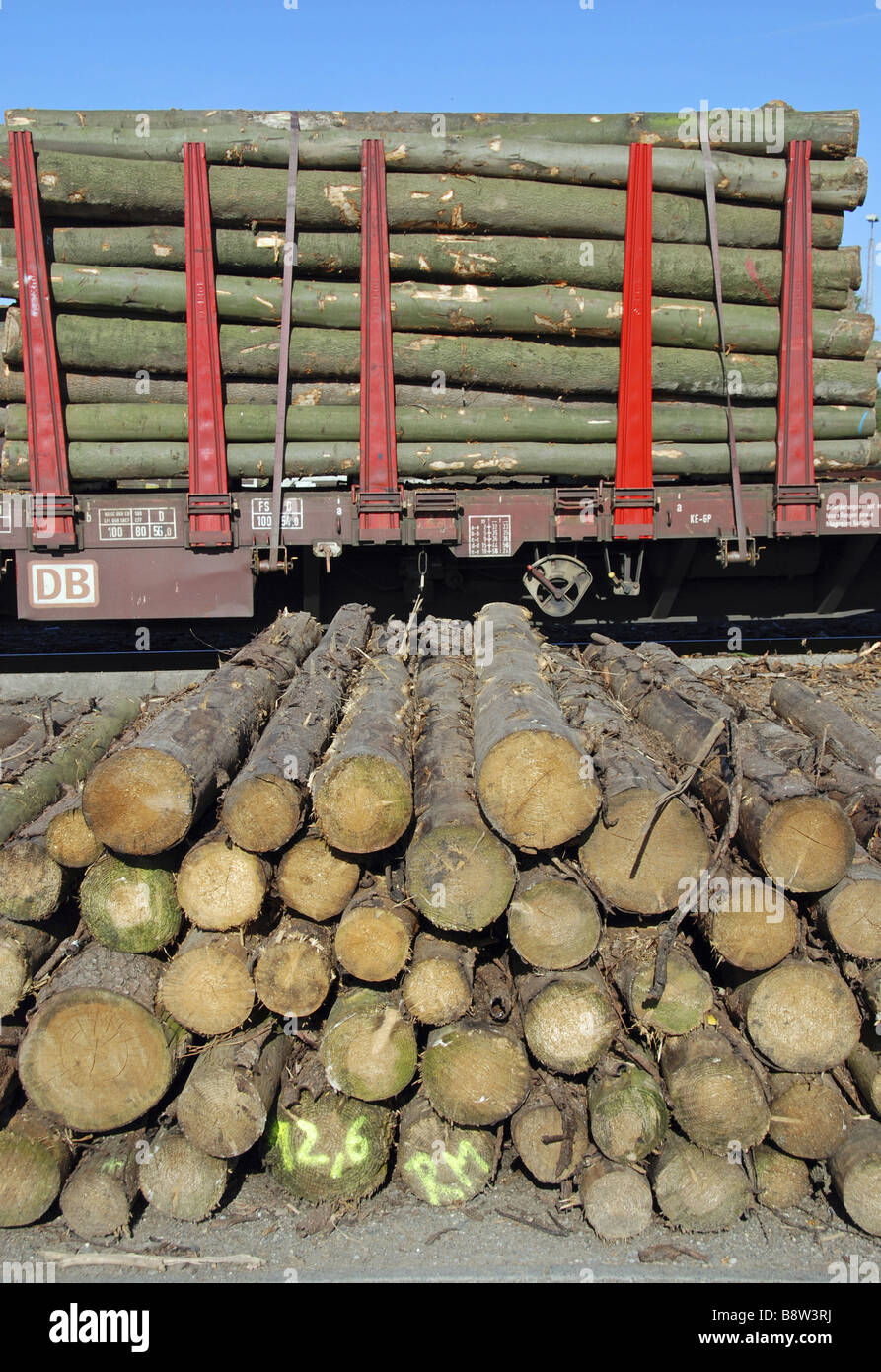 Log wagon hi-res stock photography and images - Alamy