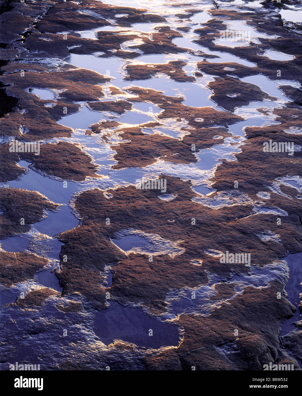 Seacombe cliff dorset hi-res stock photography and images - Alamy