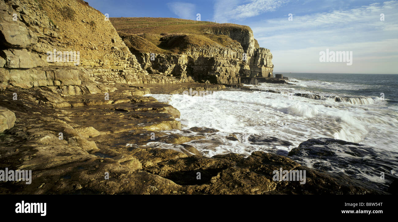 View of Seacombe Cliff in Purbeck Dorset which is part of the ...