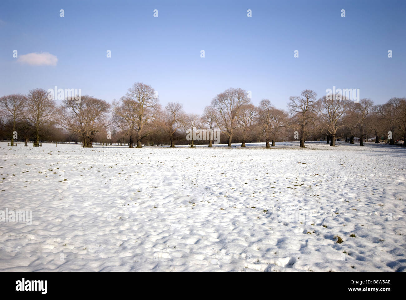 Field trees snow hi-res stock photography and images - Alamy