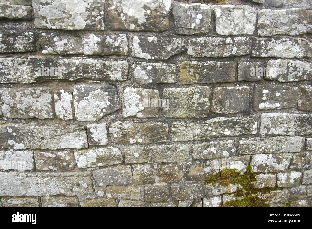 Roman border hi-res stock photography and images - Alamy