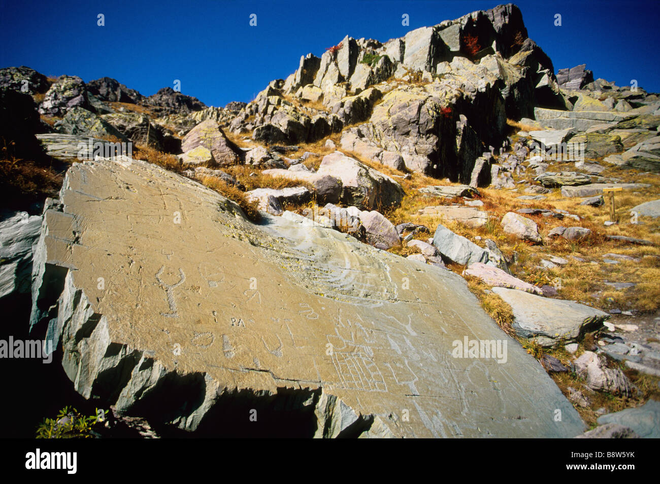 Graved rocks into the Vallee des Merveilles aged between 2500-3000 ...