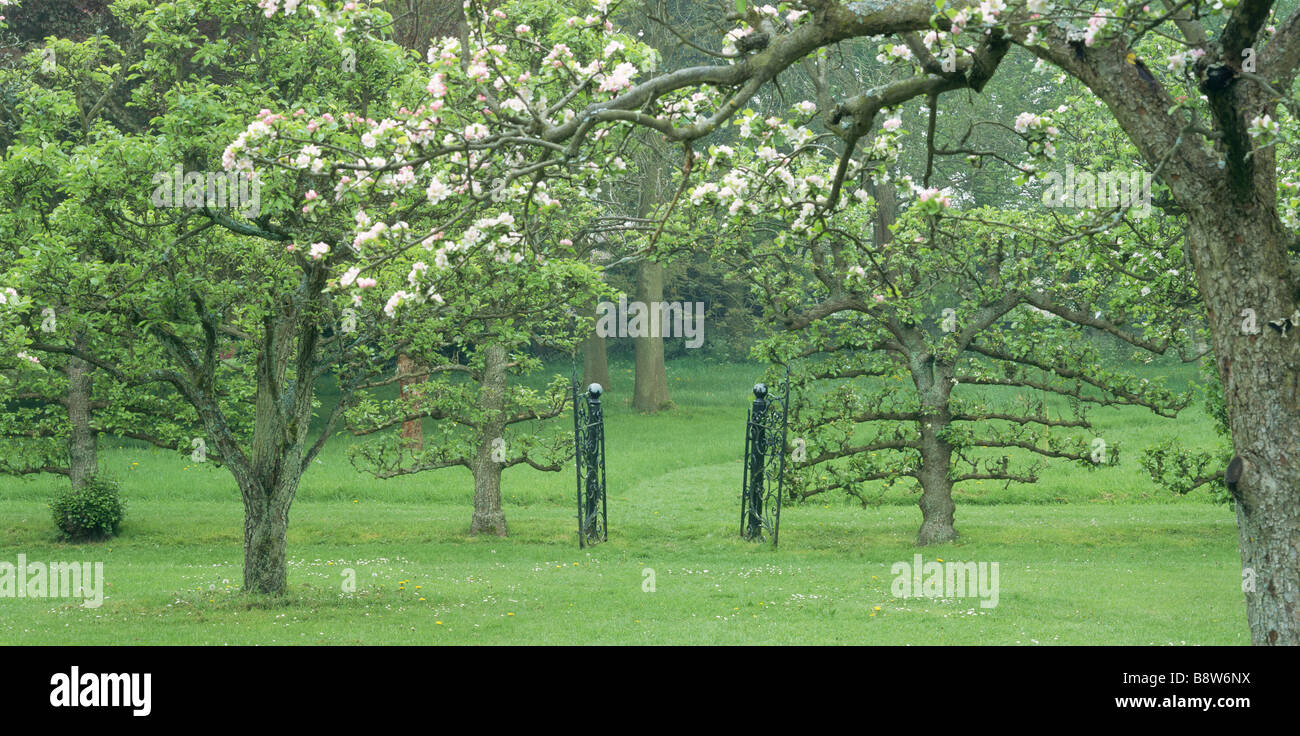 The Courts, Holt Stock Photo - Alamy