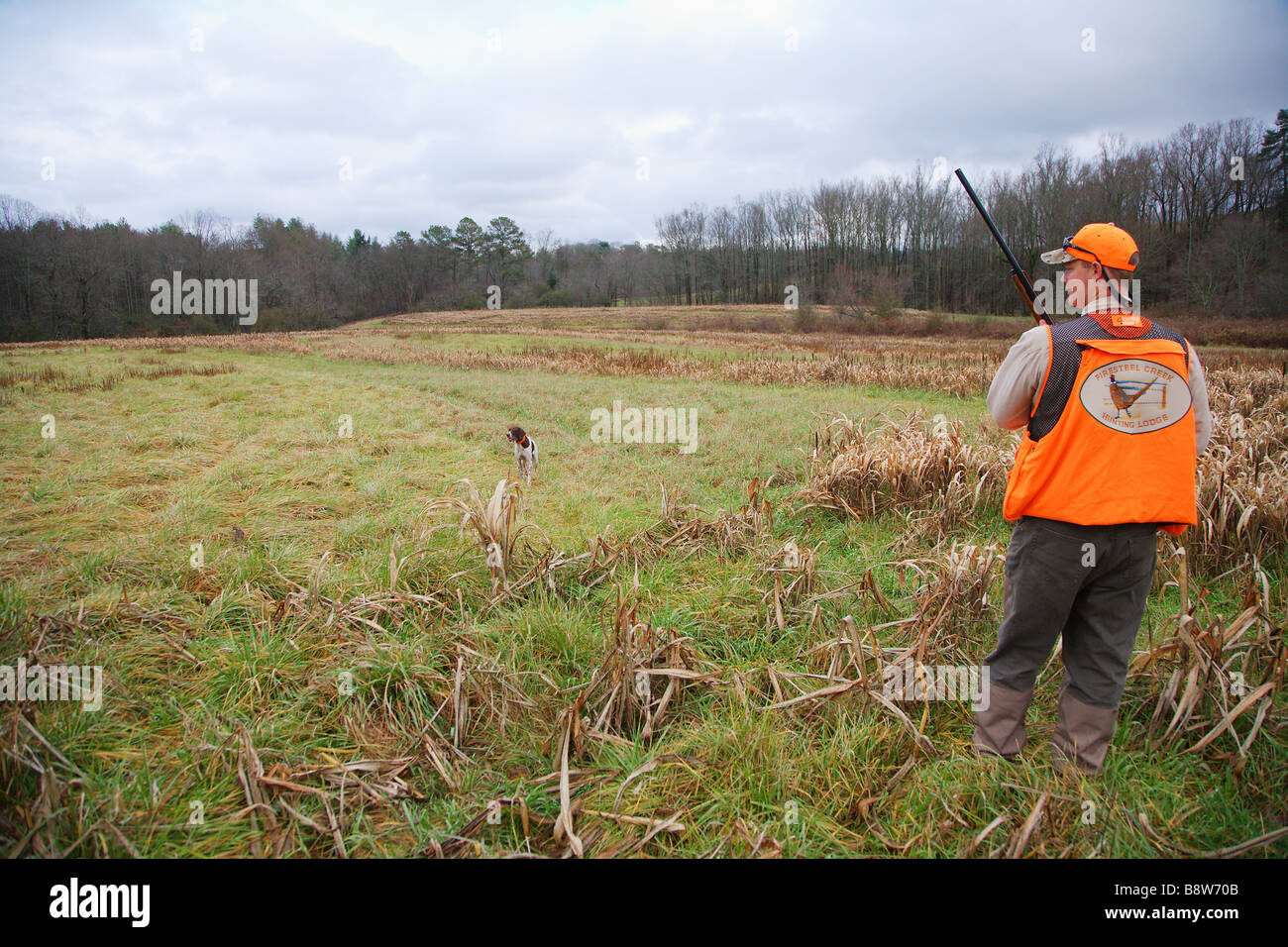 Hunt Open Ground High Resolution Stock Photography and Images - Alamy