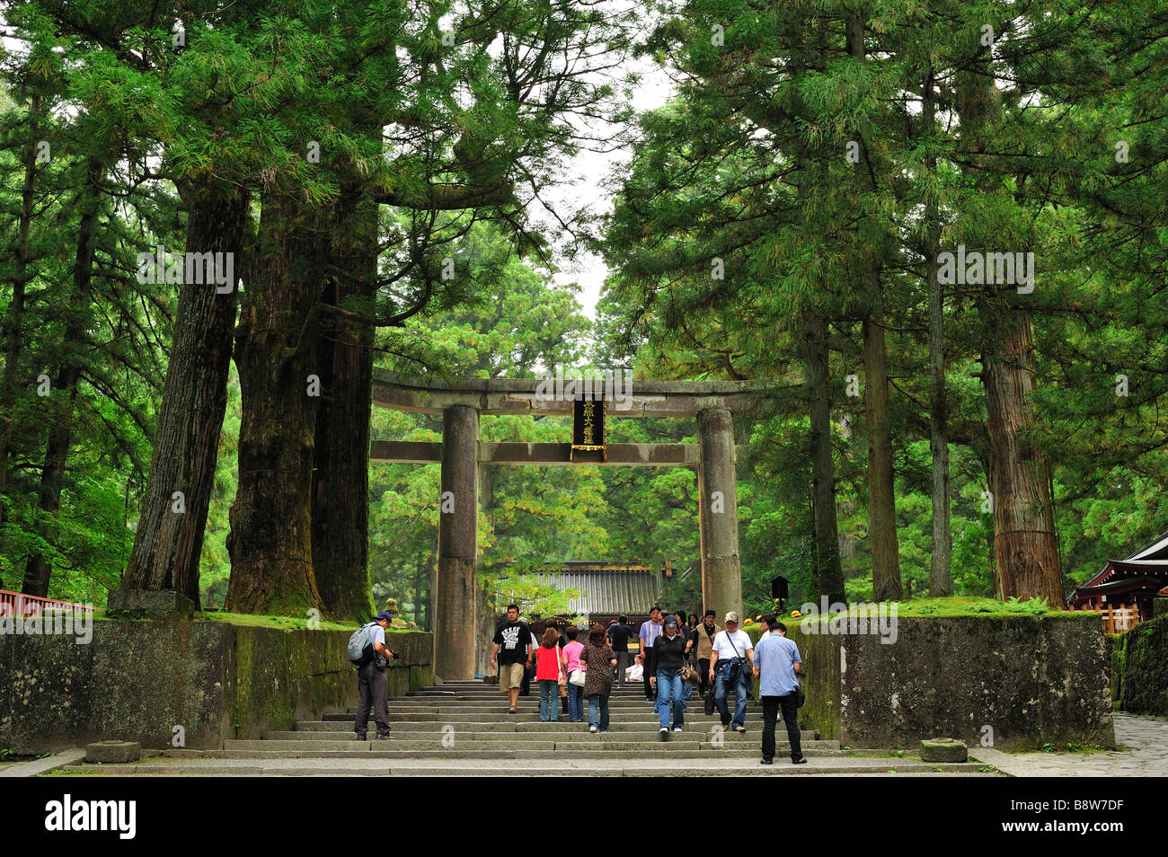 Torii gate tosho gu hi-res stock photography and images - Alamy